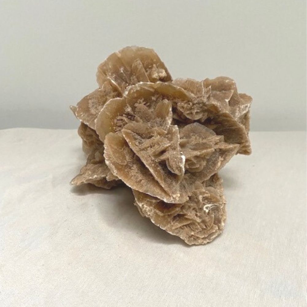 Woestijnroos Large – Pluk Iets Moois