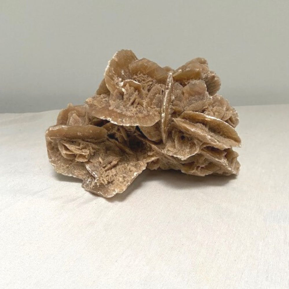 Woestijnroos Large – Pluk Iets Moois